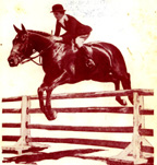 National Show Hunter Hall of Fame Photo Gallery