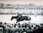 National Show Hunter Hall of Fame Photo Gallery